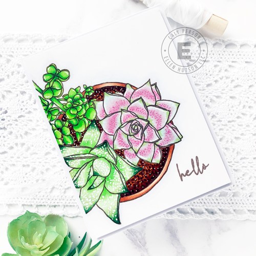 Ellen Hutson – Essentials by Ellen Release Preview – Mondo Succulent ...
