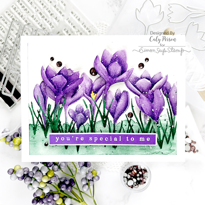 Simon Says Stamp – Be Bold Release Blog Hop – Caly Person